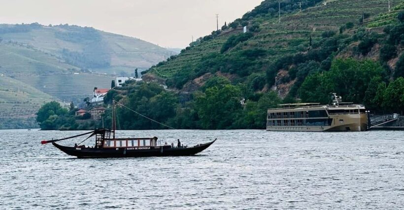 Douro Valley Journey: 4 Cities and Wine Estate All-Included - What Makes This Tour Stand Out