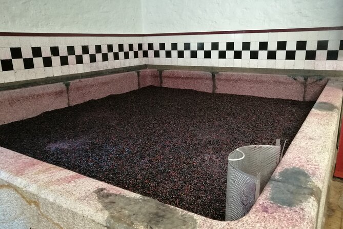 Douro Valley Majestic - Booking and Cancellation