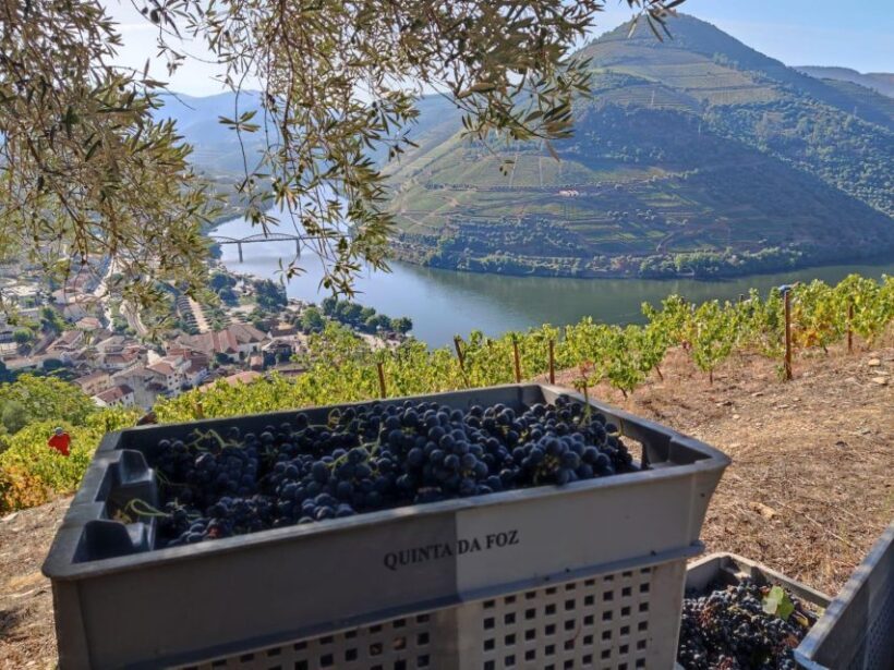 Douro Valley: (Pinhão) Quinta da Foz - Tour&Tasting 5 WINES - Practical Details and Considerations