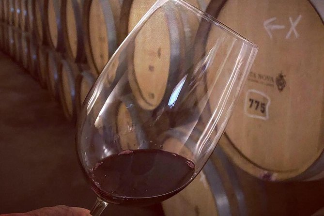 Douro Valley Premium Private - Memorable River Cruise Experience