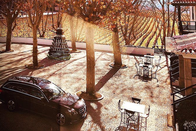 Douro Valley Premium Private - Traveler Testimonials and Reviews