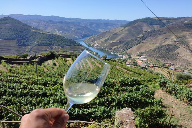 Douro Valley Premium Tours - Private Driver & Guide - Return to Porto