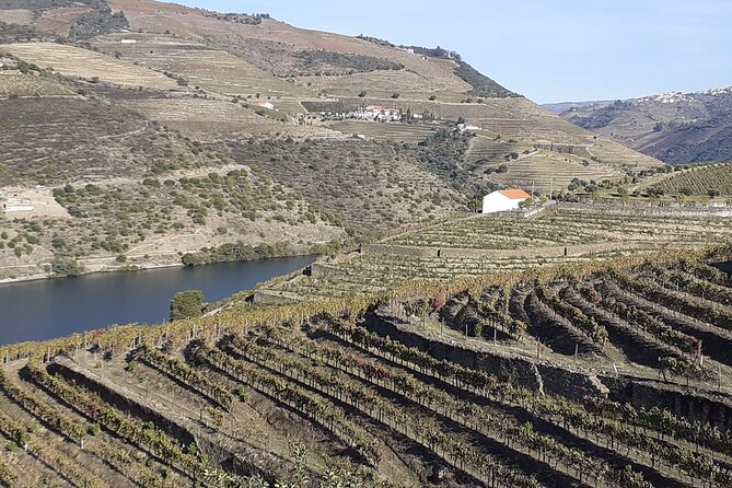 Douro Valley Premium with wine tasting lunch and boat - What Makes This Tour Stand Out?