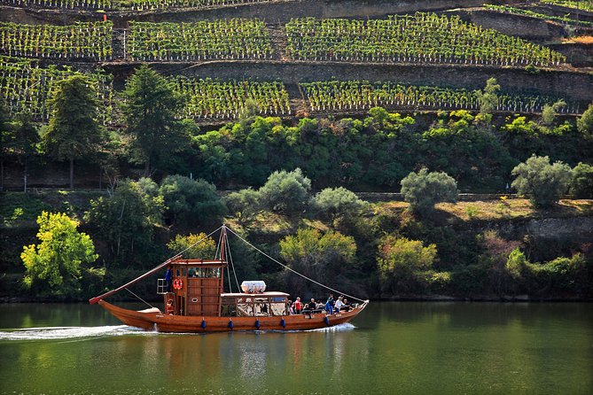 Douro Valley private day tour from Porto - Vineyard Visits & Tasting Experiences