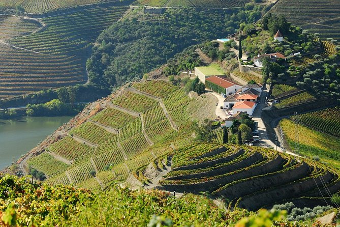 Douro Valley private day tour from Porto - The Comfort and Practicalities