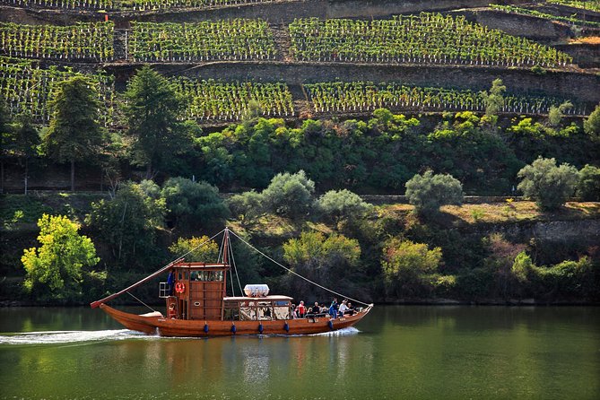 Douro Valley Private Full–Day Tour From Porto - Key Points