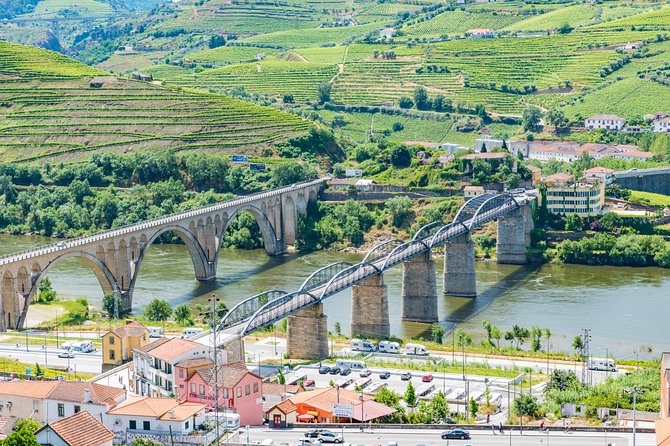 Douro Valley Private Full–Day Tour From Porto - Traditional Portuguese Lunch