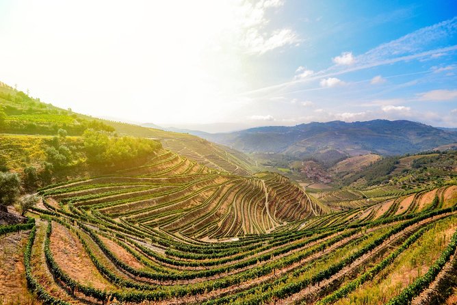 Douro Valley Private Full–Day Tour From Porto - Leisurely Boat Ride on the Douro River
