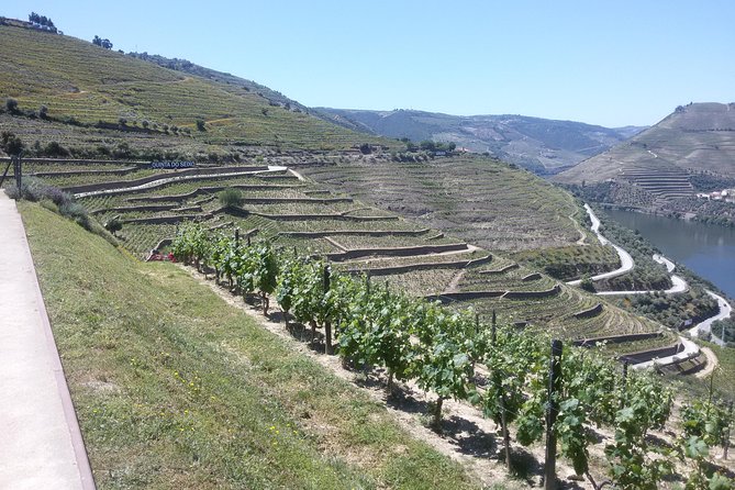 Douro Valley Private Premium Tour With Wine Tasting (1 to 4 People) - Scenic Boat Ride on the Douro River