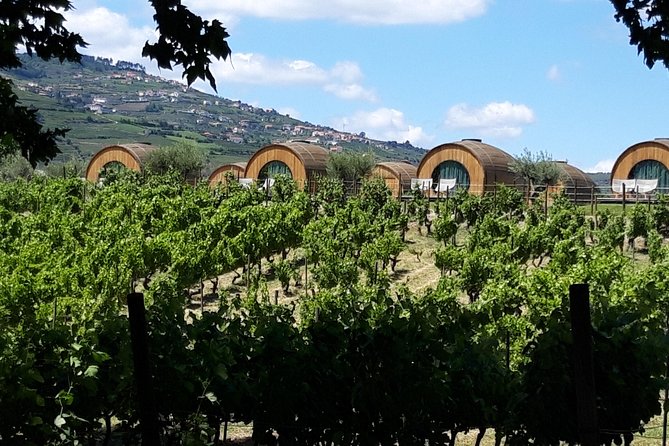 Douro Valley Private Premium Tour With Wine Tasting (1 to 4 People) - Culinary Delights: Lunch at a Local Vineyard