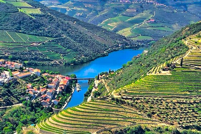 Douro Valley Private Tour: 2 Farms, Lunch & Boat Trip - Farm Visits and Tastings