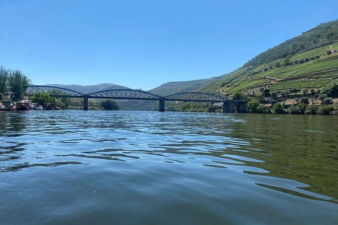 Douro Valley Private Tour: 2 Farms, Lunch & Boat Trip - Lunch and Wine Tasting
