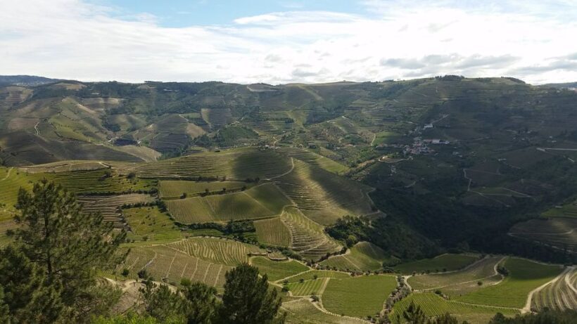 Douro Valley Private Tour - An Authentic Day in the Douro Valley