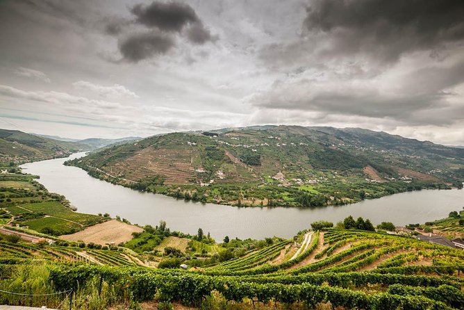 Douro Valley Private Tour from Oporto - Exploring the Itinerary in Detail