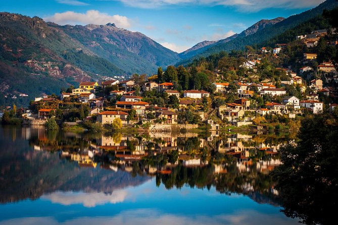 Douro Valley Private Tour from Oporto - The Sum Up