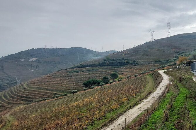 Douro Valley private tour full day - Final Paragraphs (Summary)