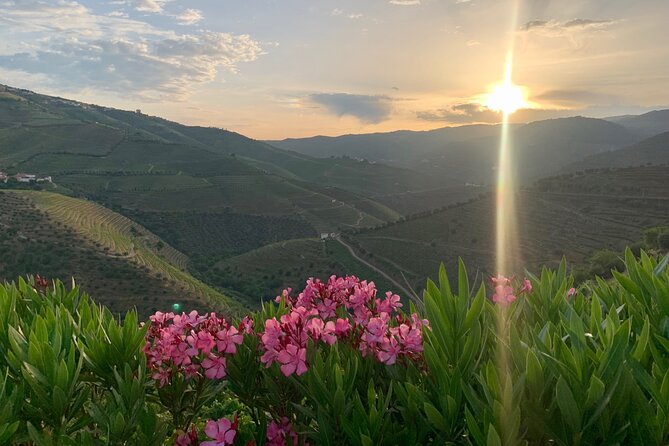 Douro Valley private tour includes wine tasting and boat trip - Vineyard and Wine Tasting in Peso Da Régua