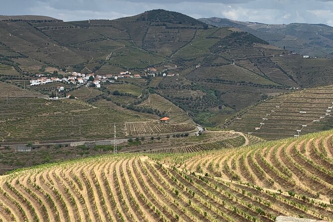 Douro Valley private tour includes wine tasting and boat trip - Flexibility and Comfort
