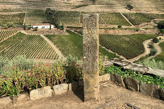 Douro Valley private tour includes wine tasting and boat trip - The Experience in Context: What You Should Expect