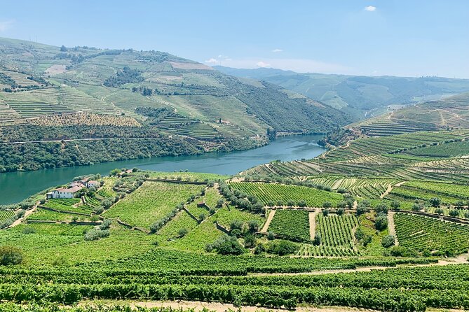 Douro Valley private tour includes wine tasting and boat trip - Practical Considerations and Tips