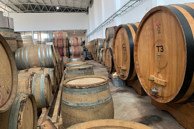 Douro Valley private tour includes wine tasting and boat trip - Final Thoughts: Who Should Book This Tour?