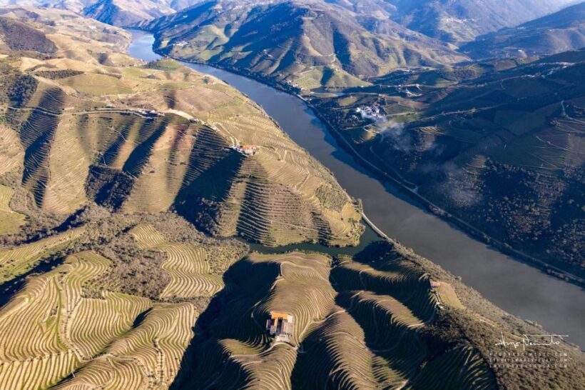Douro Valley private tour & wine experience including lunch - Who will love this tour?