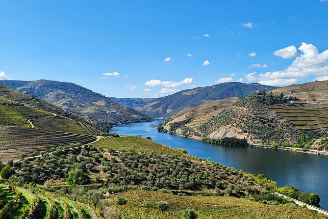 Douro Valley Private Tour (Winery + Boat + Viewpoint) - Key Points
