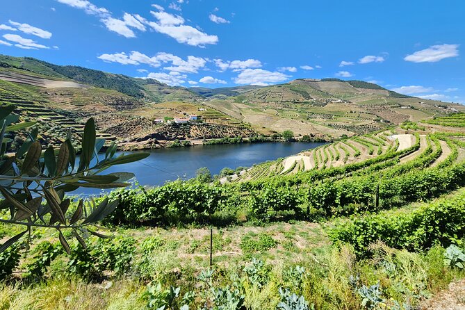 Douro Valley Private Tour (Winery + Boat + Viewpoint) - Meeting and Pickup