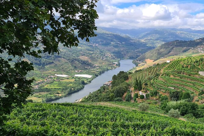 Douro Valley Private Tour (Winery + Boat + Viewpoint) - Booking Information