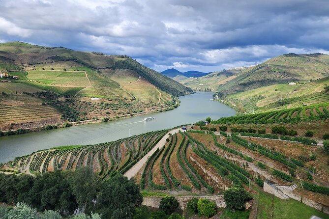 Douro Valley Private Tour (Winery + Boat + Viewpoint) - Highlights of the Douro Valley Tour