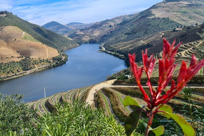 Douro Valley Private Tour (Winery + Boat + Viewpoint) - Frequently Asked Questions