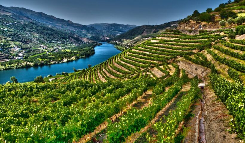 Douro Valley Private Tour with 2 wine tastings - An Authentic Tour of Portugal’s Wine Heritage