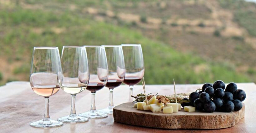Douro Valley Private Tour with 2 wine tastings - Final Thoughts: Does It Deliver?