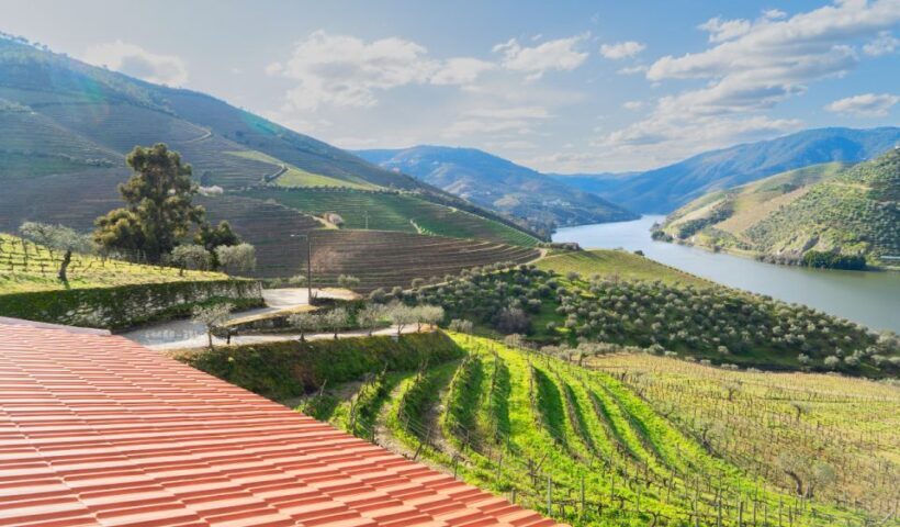 Douro Valley Private Tour with 2 wine tastings - FAQ