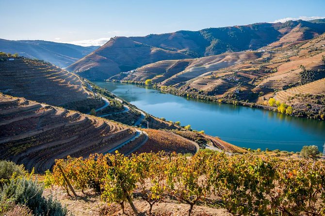 Douro Valley: Private Tour With Lunch and Wine Estate All Inclusive - Logistics and Meeting Information