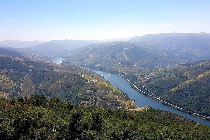 Douro Valley: Private Tour With Lunch and Wine Estate All Inclusive - Reviews and Pricing