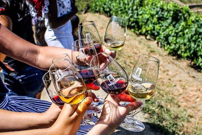 Douro Valley Private Tour with tasting included - Final Thoughts