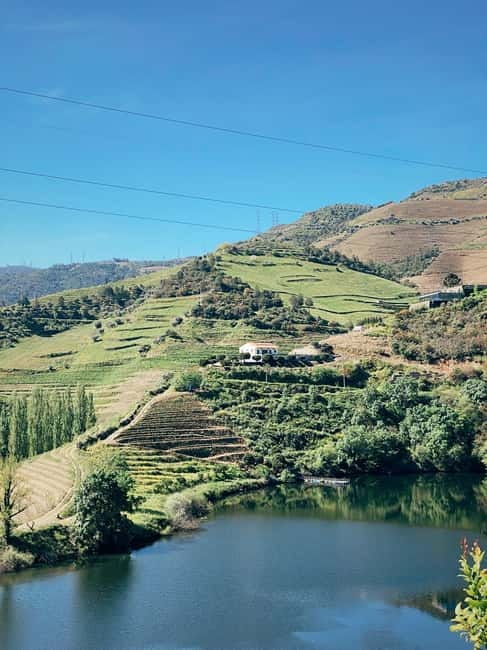Douro Valley: PRIVATE TOURS with 1 Wine Tasting - The Sum Up