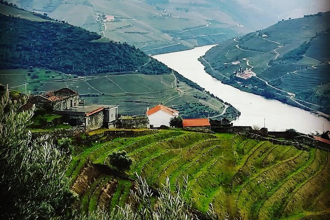 Douro Valley Private Wine Tour From Lisbon - Traveler Feedback and Ratings