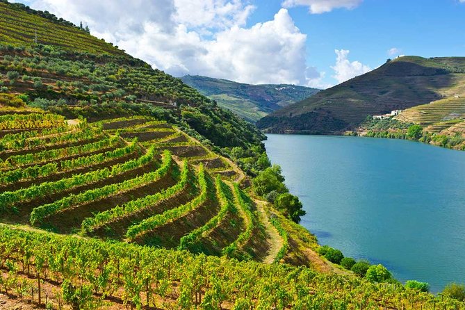 Douro Valley Private Wine Tour From Porto Review - About Your Stay