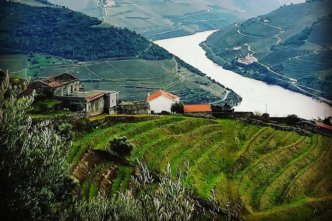 Douro Valley Private Wine Tour From Porto Review - Highlights of the Douro Valley Wine Tour