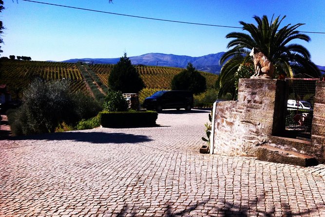 Douro Valley Private Wine Tour From Porto Review - Scenic Cruise on the Douro River