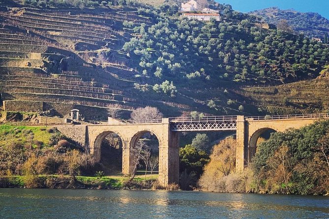Douro Valley Private Wine Tour From Porto Review - Authentic Portuguese Dining Experience