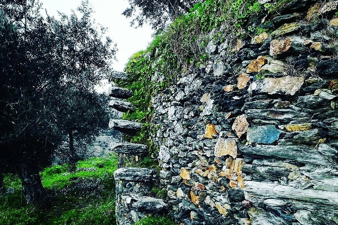 Douro Valley Private Wine Tour From Porto Review - Knowledgeable and Accommodating Guides