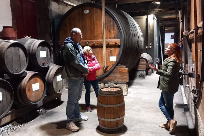 DOURO VALLEY: Private Wine Tour, Winerys Lunch & Boat From Porto - Exploring the Wine Cellars of Douro Valley