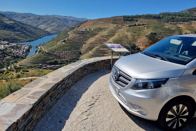 DOURO VALLEY: Private Wine Tour, Winerys Lunch & Boat From Porto - Savoring the Flavors: Wine and Olive Oil Tasting Experience
