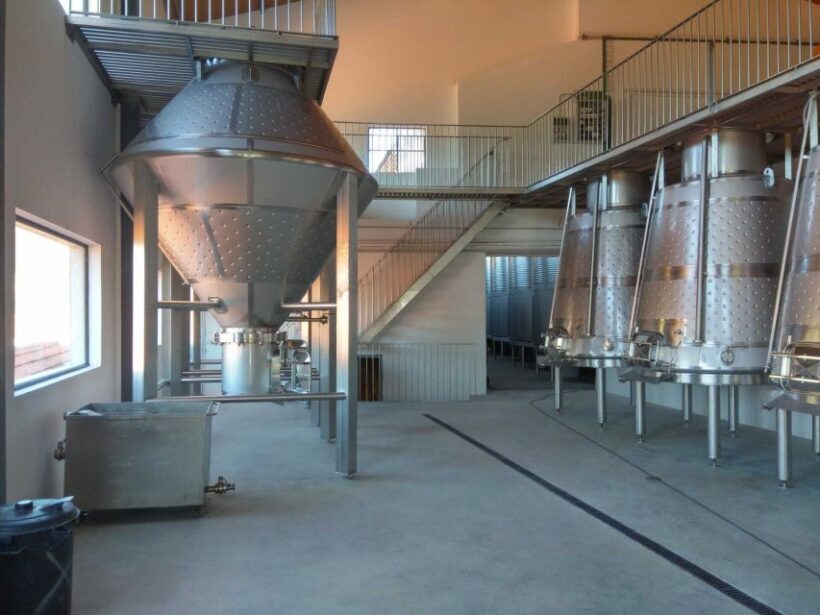 Douro Valley: Quinta de S. Luiz Winery Tour and Tasting - What to Expect on the Tour