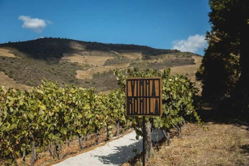 Douro Valley: Quinta de S. Luiz Winery Tour and Tasting - The Practicalities