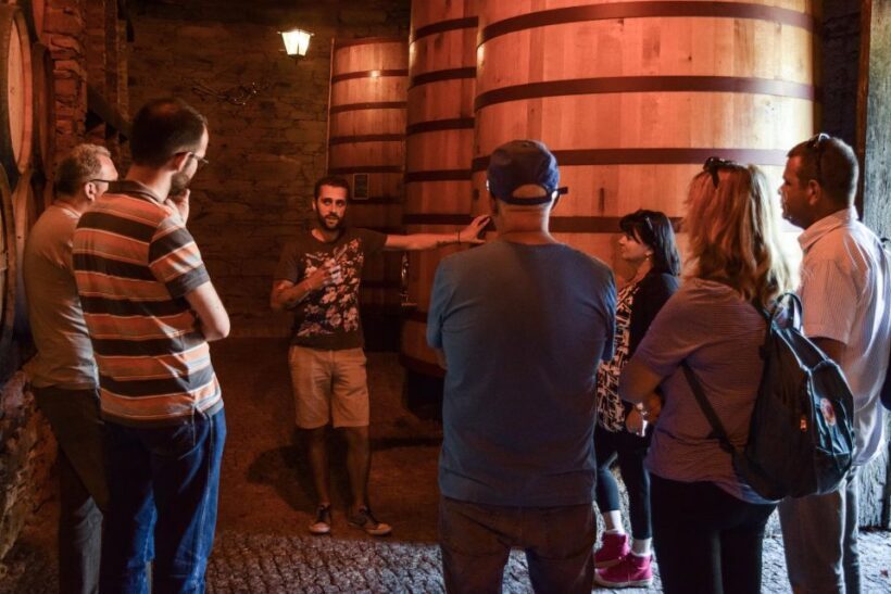Douro Valley: Quinta do Tedo Wine Experience with Picnic - An In-Depth Look at the Experience