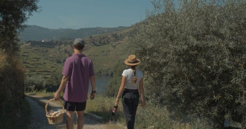 Douro Valley: Quinta do Tedo Wine Experience with Picnic - Final Thoughts